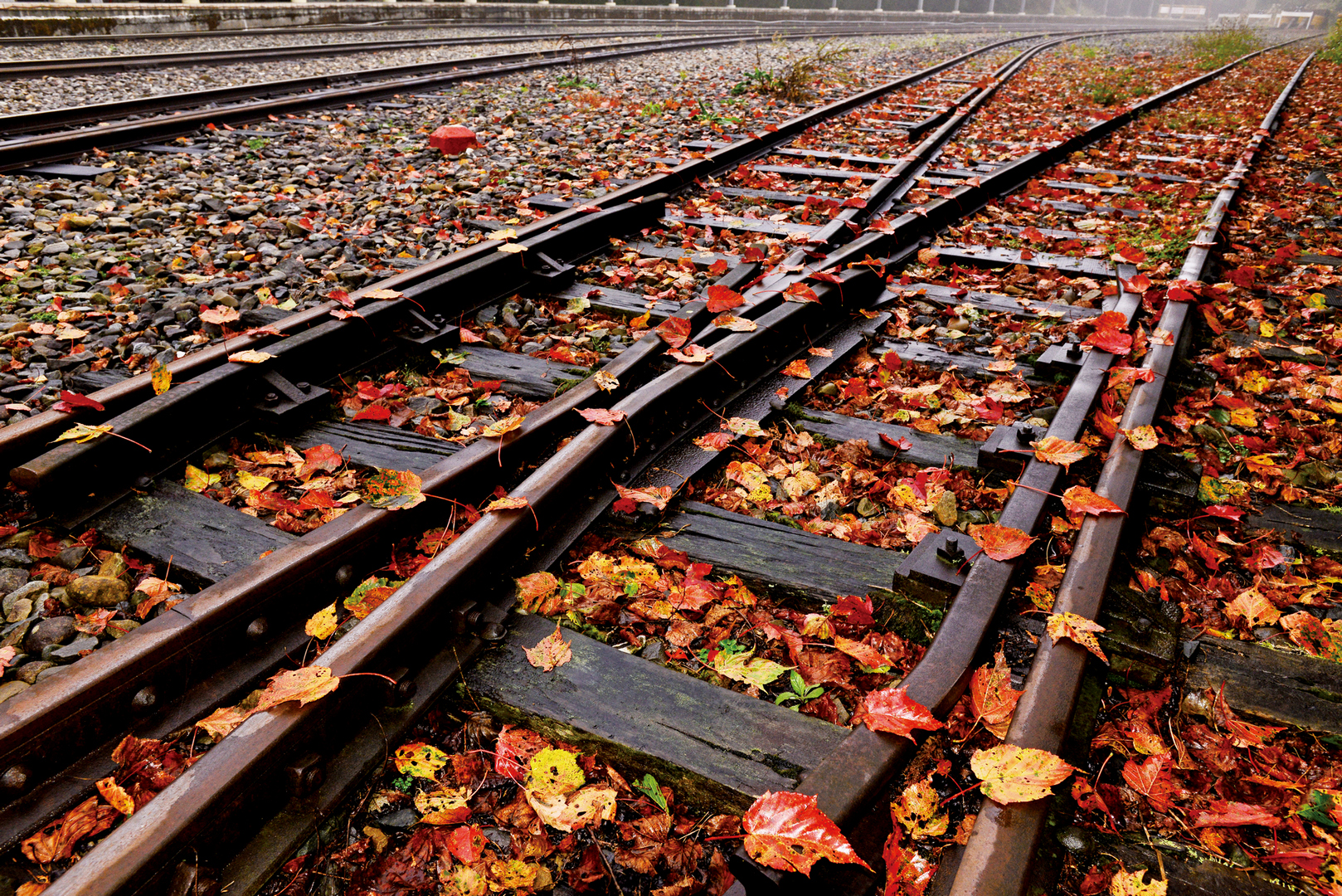 Tempat-tempat menarik untuk menikmati pemandangan musim luruh di Taiwan ...